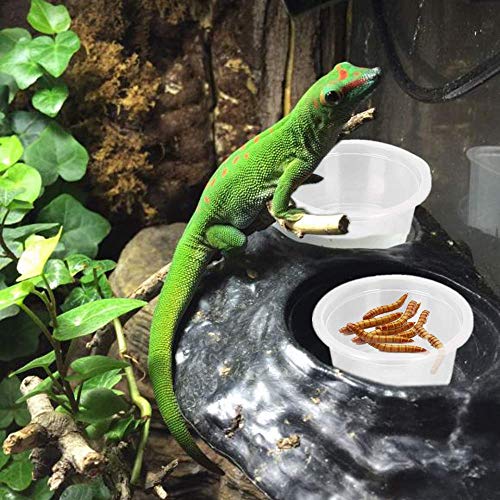 WOLEDOE 100Pcs Crested Gecko Food Dish, 0.5oz Plastic Reptile Feeding Cups