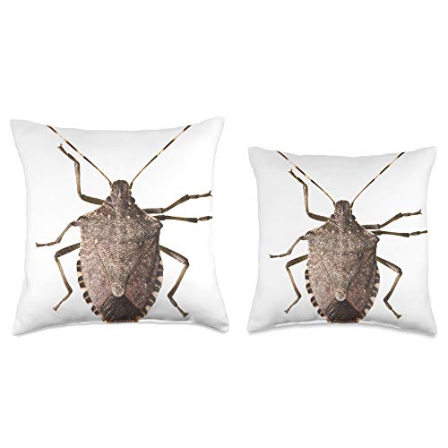 Beetles Funny Bugs T-Shirt Stink Bug Entomology Insects Funny T-Shirt Throw Pillow, 16x16, Multicolor