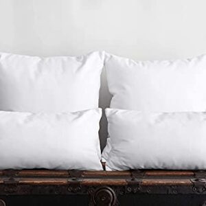 Empyrean Bedding Throw Pillow - 12 x 18 Inches Decorative Pillow Insert - Cotton Blend Outer Shell Indoor & Outdoor Pillows (Pack of 2, White)