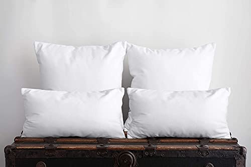 Empyrean Bedding Throw Pillow - 12 x 18 Inches Decorative Pillow Insert - Cotton Blend Outer Shell Indoor & Outdoor Pillows (Pack of 2, White)