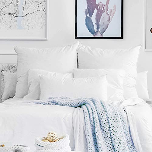 Empyrean Bedding Throw Pillow - 12 x 18 Inches Decorative Pillow Insert - Cotton Blend Outer Shell Indoor & Outdoor Pillows (Pack of 2, White)