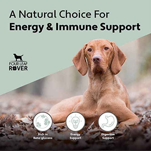 Four Leaf Rover: Turkey Tail Mushroom Extract - Critical Immune Support and Prebiotic for Dogs - 15 to 120 Day Supply, Depending on Dog’s Weight - Rich in Beta-Glucans - Vet Formulated