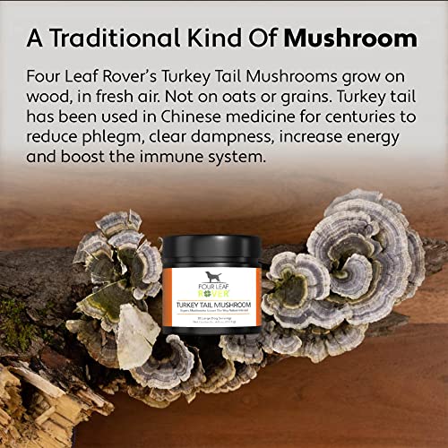 Four Leaf Rover: Turkey Tail Mushroom Extract - Critical Immune Support and Prebiotic for Dogs - 15 to 120 Day Supply, Depending on Dog’s Weight - Rich in Beta-Glucans - Vet Formulated