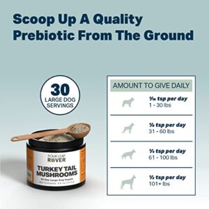 Four Leaf Rover: Turkey Tail Mushroom Extract - Critical Immune Support and Prebiotic for Dogs - 15 to 120 Day Supply, Depending on Dog’s Weight - Rich in Beta-Glucans - Vet Formulated