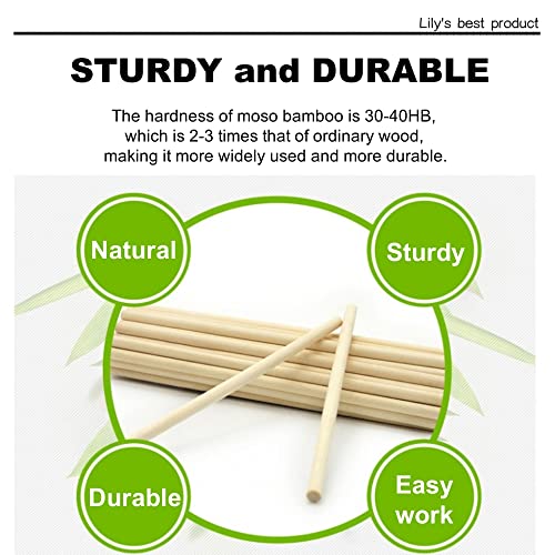 50PCS Dowel Rods Wood Sticks Wooden Dowel Rods - 1/4 x 12 Inch Unfinished Bamboo Sticks - for Crafts and DIYers