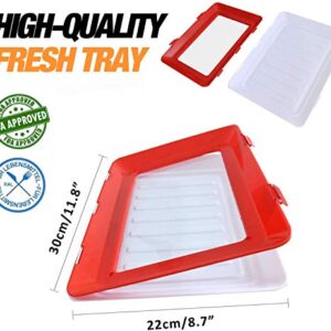 Food Preservation Trays- Stackable, Reusable Food Tray with Plastic Lid, Durable，Superior for Keeping Food Fresh,Dishwasher & Freezer Safe-6 Count