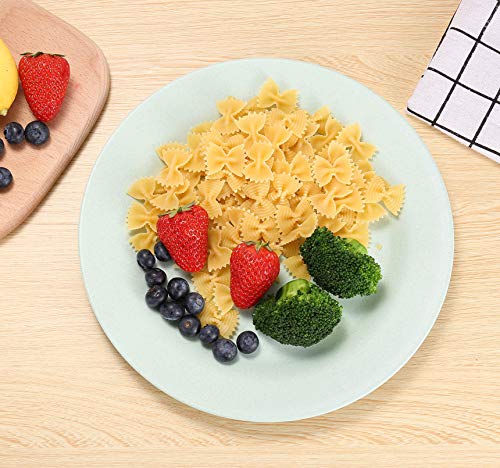 LuckyZone 11inch/5pcs Wheat Straw Plates - Reusable & Unbreakable Plate - Dishwasher & Microwave Safe - Perfect for Dinner Dishes - Healthy, Lightweight, BPA Free & Eco-Friendly (5 colors)