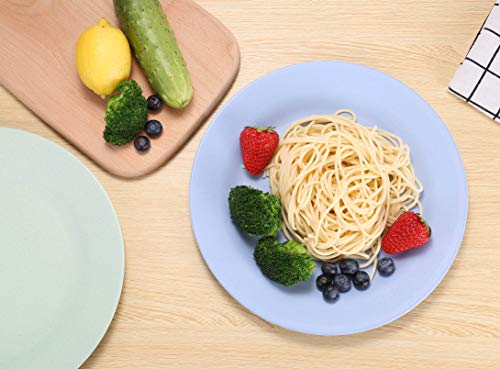 LuckyZone 11inch/5pcs Wheat Straw Plates - Reusable & Unbreakable Plate - Dishwasher & Microwave Safe - Perfect for Dinner Dishes - Healthy, Lightweight, BPA Free & Eco-Friendly (5 colors)