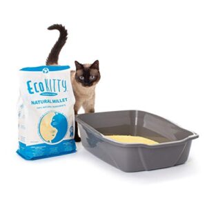 EcoKitty Clumping Cat Litter, Millet