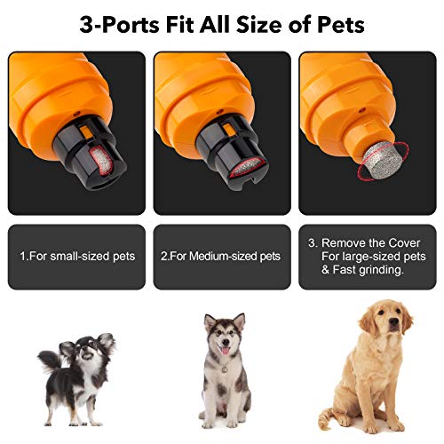 Casfuy Dog Nail Grinder with 2 LED Light - New Version 2-Speed Powerful Electric Pet Nail Trimmer Professional Quiet Painless Paws Grooming & Smoothing for Small Medium Large Dogs and Cats (Orange)