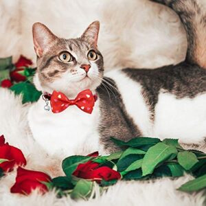 Pohshido Valentine's Cat Collar with Bow Tie and Bell, Holiday Breakaway Loving Heart Kitty Kitten Collar for Girls and Boys Male Female Cats (Love Song)