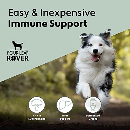 Four Leaf Rover Green Rover - Super Greens with Organic Broccoli Sprout and Spirulina Powder for Dogs - 15 to 120 Day Supply, Depending on Dog’s Weight - Liver Support - Vet Formulated