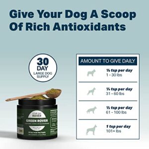 Four Leaf Rover Green Rover - Super Greens with Organic Broccoli Sprout and Spirulina Powder for Dogs - 15 to 120 Day Supply, Depending on Dog’s Weight - Liver Support - Vet Formulated