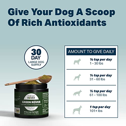 Four Leaf Rover Green Rover - Super Greens with Organic Broccoli Sprout and Spirulina Powder for Dogs - 15 to 120 Day Supply, Depending on Dog’s Weight - Liver Support - Vet Formulated