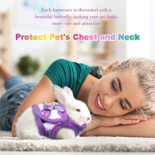 4 Pieces Small Pet Harness Cute Adjustable Vest and Leash Set for Guinea Pig, No Pulling Comfort Mesh Padded Vest for Small Pets, Ferrets, Chinchillas, Hamsters, Iguanas and Similar Small Animals (S)