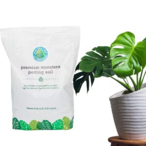 premium monstera potting soil - quick drain potting soil for monstera deliciosa/swiss cheese plant