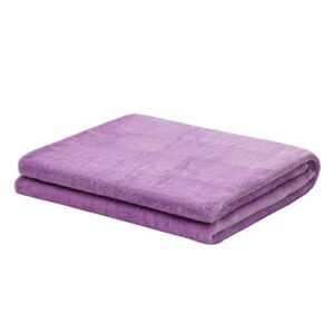 ZUZGEN 50x60 Fleece Blanket Throw, Light Weight, All Season, Soft- Prefect for Bed, Sofa, Couch (Purple)