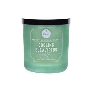 dw home, medium single wick candle, cooling eucalyptus