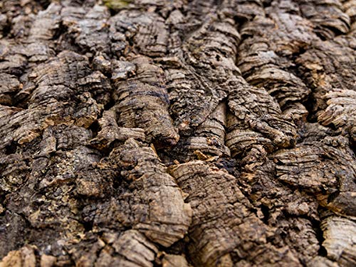 Josh's Frogs Natural Virgin Cork Sheet Terrarium Background (~23.6x17.7")