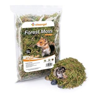 niteangel 5l forest moss soft natural moss bedding nesting for dwarf syrian hamsters, gerbils, mices, degus or other small animal