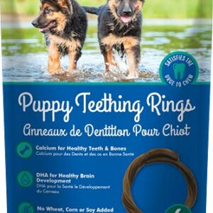 N-Bone Puppy Teething Rings Salmon Flavor Dog Treat, 6 Count Bag, 7.2-oz