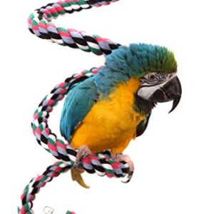 Parrot Rope Boing - Spiral Rope Swing (Medium)