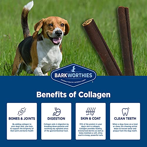 Barkworthies Collagen Sticks (6-Inch, 3-Count) - Great Tasting, Highly Digestible, Single Ingredient, Dog Chew