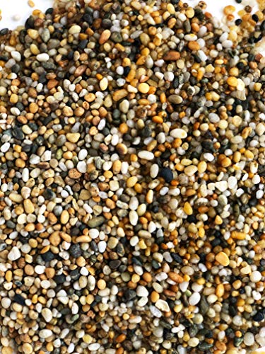 AquaNatural Gold Pearl 10lb Gravel Substrate for Aquariums, terrariums and vivariums, 2-4mm