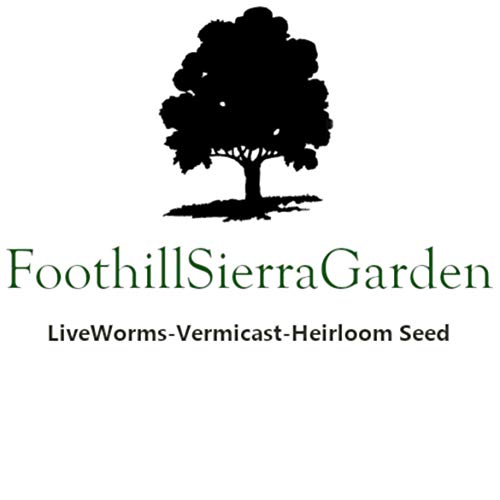 FoothillSierraGarden- 50 Count Red Wiggler Live Organically Raised Premium Red Wiggler Composting Worms