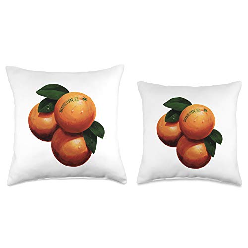 Spat's Splats Steve Spathelf Original Dunedin Florida Orange Throw Pillow, 16x16, Multicolor