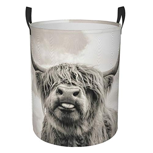 NYIVBE Portrait of Highland Cow Laundry Hamper with Handle,Collapsible Round Storage Bin for Bathroom Home Decor Baby Hamper Boxes Baby Clothing, Black, Medium