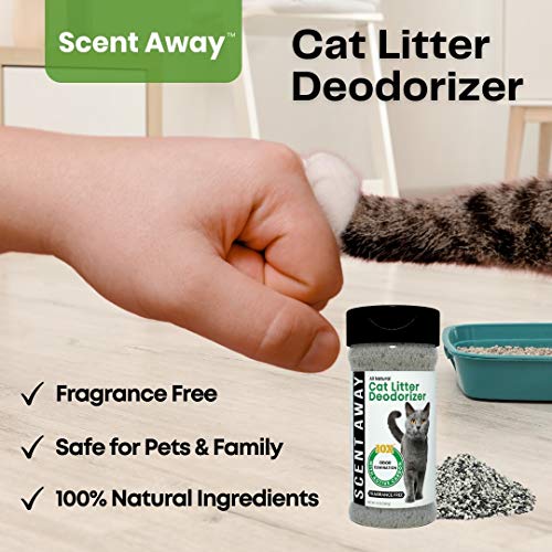 SCENT AWAY Cat Litter Deodorizer Litter Box Odor Eliminator | Fragrance Free Cat Litter Deodorizer with Active Carbon | Eliminates Cat Odors and Smells to Keep Your Home Fresh and Clean (Pack of 1)