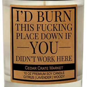 I'd Burn This Place Down If You Didn't Work Here - Funny Candles for Women, Men - Thank You Candle, Funny Work Gifts, Funny Going Away Gift for Coworker, Work Bestie Gifts, Funny Candle for Women