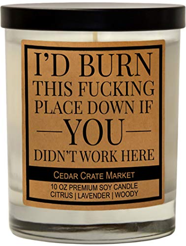 I'd Burn This Place Down If You Didn't Work Here - Funny Candles for Women, Men - Thank You Candle, Funny Work Gifts, Funny Going Away Gift for Coworker, Work Bestie Gifts, Funny Candle for Women