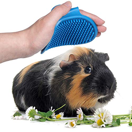 3 Pieces Small Animals Grooming Kit Including Pet Hair Remover Grooming Brush, Pet Shampoo Bath Brush with Adjustable Ring Handle and Double Sided Pet Comb for Hamster, Bunny and Guinea Pig