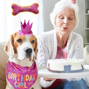 IDOLPET Dog Birthday Bandana Large Dog Birthday Hat Happy Birthday Dog Bone Toy Dog Party Set Pet Happy Birthday Party Suppliers Dog Birthday Accessories and Pet Decorations (Pink)