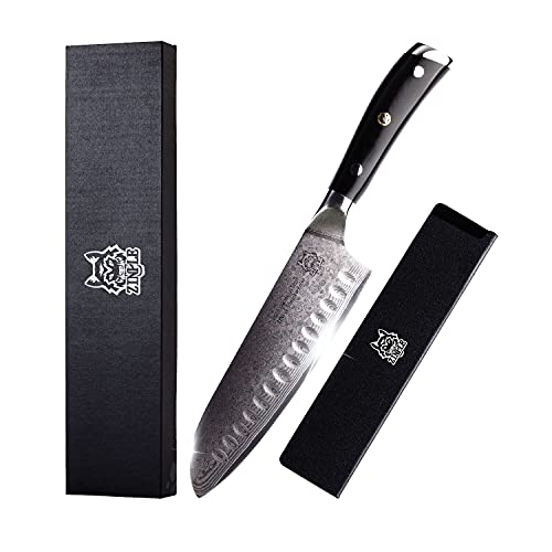 ZINPLE Damascus Chef Knife 8 Inch, Santoku Chef's Knife Professional Kitchen Knife, High Carbon VG10 Super Steel 67-Layer Damascus, Meat Cutting Japanese Chef's Knife Gift Box, Ergonomic G10 Handle