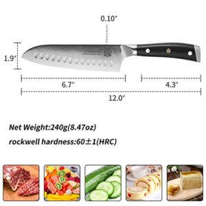 ZINPLE Damascus Chef Knife 8 Inch, Santoku Chef's Knife Professional Kitchen Knife, High Carbon VG10 Super Steel 67-Layer Damascus, Meat Cutting Japanese Chef's Knife Gift Box, Ergonomic G10 Handle