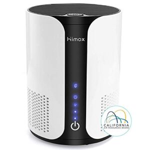 Himox Small Air Purifier for bedroom and AP01 Compact Desk Air Purifier Both H13 True HEPA Medical Grade Ultra Quiet