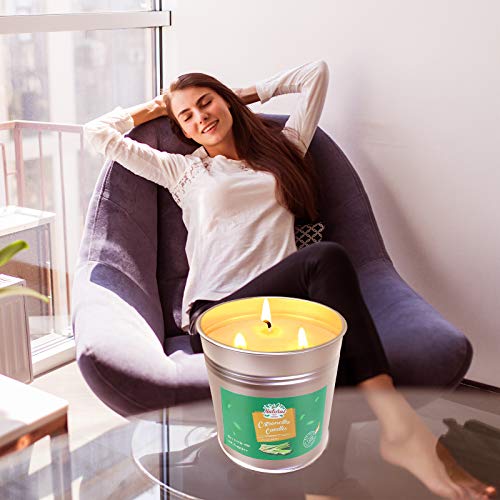 2 Packs Large Citronella Candles Outdoor Indoor, 110 Hours Burn 20 oz 3-Wick Scented Candles, Soy Wax Fly Candle for Home Garden Patio Yard Camping Balcony Travel