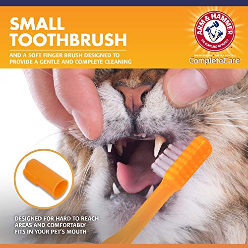 Arm & Hammer for Pets Complete Care Cat & Kitten Dental Kit | Includes 2.5 oz Tuna Flavor Enzymatic Cat Toothpaste, Cat Toothbrush, and Rubber Finger Brush for Cats