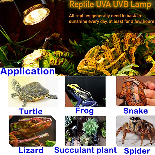 JackSuper 75W Reptile Heat Lamp, Turtle Heating Light UVA UVB Temperature Adjustable 360°Rotatable Clip Basking Lamp for Amphibian Reptile Turtle Lizard Snake (Heat Light with 2pcs 75W Bulb)