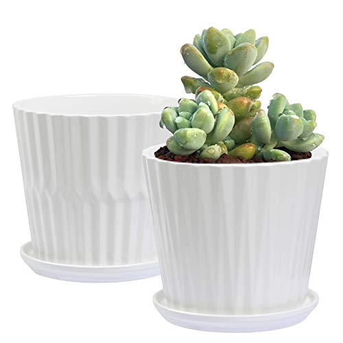 sietpoek Plant Pots - 6.7 Inch Cylinder Ceramic Planters with Connected Saucer, Pots for Succuelnt and Little Snake Plants, Set of 2, White