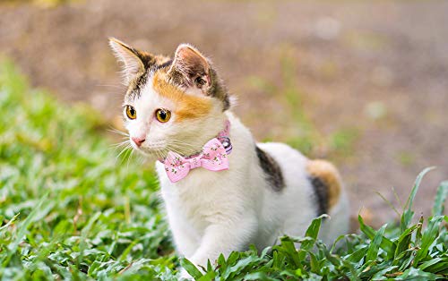 IDOLPET 4PCS Cat Collar Small Floral Cat Collar Safety Quick Release with Bell Cat Collar Adjustable Cat Collar with Bowtie for Cat Pup Kitty