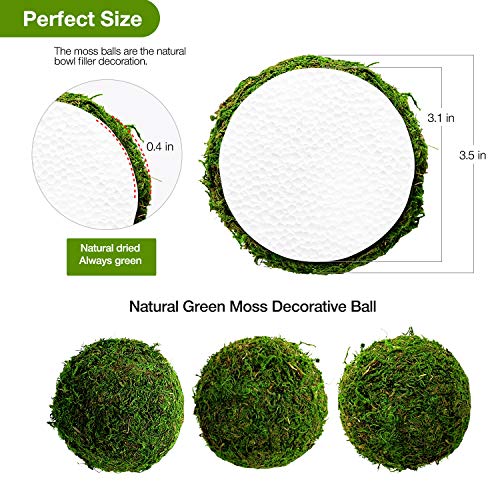 Natural Green Moss Decorative Ball 3.5" Set of 6, Hanging Balls with Handmade, Hanging Balls Vase Bowl Filler, Christmas Tree Garden Weddings Home Party Decor