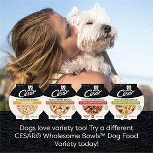 CESAR WHOLESOME BOWLS Adult Soft Wet Dog Food Chicken Recipe, 3 Ounce (Pack of 10)