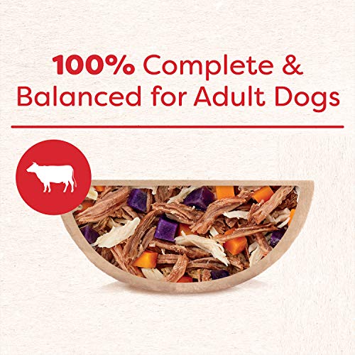 CESAR WHOLESOME BOWLS Adult Soft Wet Dog Food Beef, Chicken, Purple Potatoes & Carrots Recipe, (10) 3 oz. Bowls