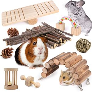 hwonmte hamster toys set, guinea pig toy natural wooden rabbit bunny rat chinchillas chew toys exercise accessories for small animal chewing and teeth care (9 pack)