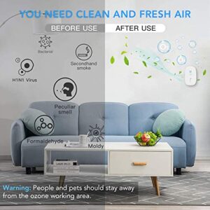 Mini Ozone and Ionic Air Purifier, Quickly Purifying Air and Eliminate Odor, Smoke, Applying in Bedroom, Living Room, Bathroom, Kitchen, Shoe Cabinet, etc