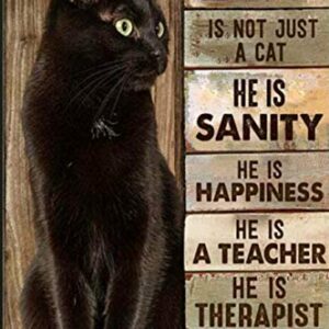 KDLY A Cat is Not Just A Cat Metal Sign 12"x8" Black cat Lover Home Wall Decor